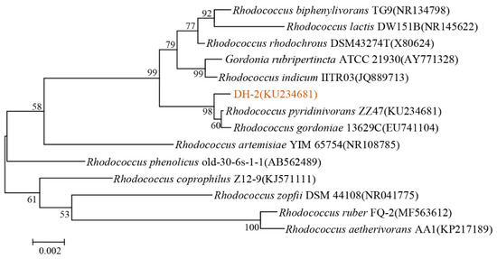 Biodegradation of Crude Oil and Aniline by Heavy Metal-Tolerant Strain ...