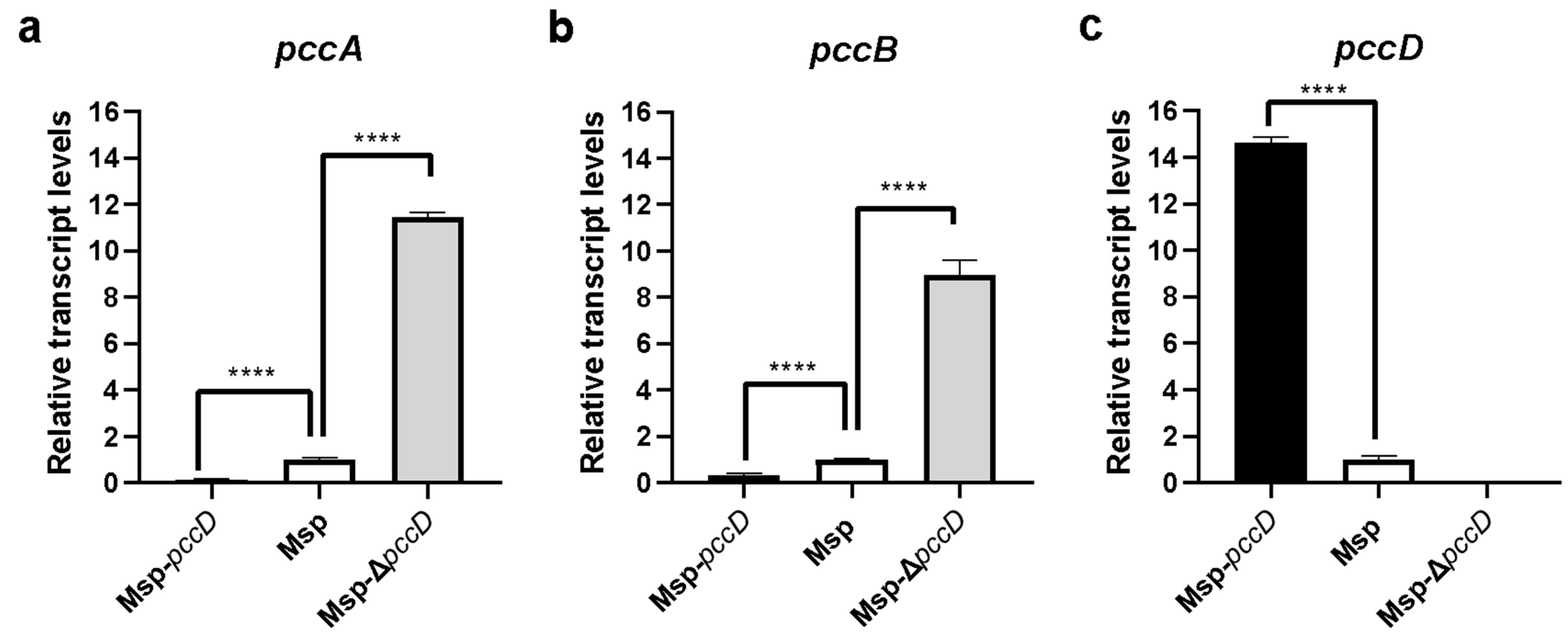 Effect of TetR Family Transcriptional Regulator PccD on Phytosterol Metabolism of Mycolicibacterium