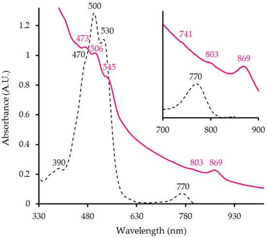 Salinarimonas chemoclinalis, an Aerobic Anoxygenic Phototroph Isolated ...