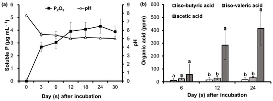 Bacillus subtilis PE7-Mediated Alleviation of Phosphate Starvation and ...
