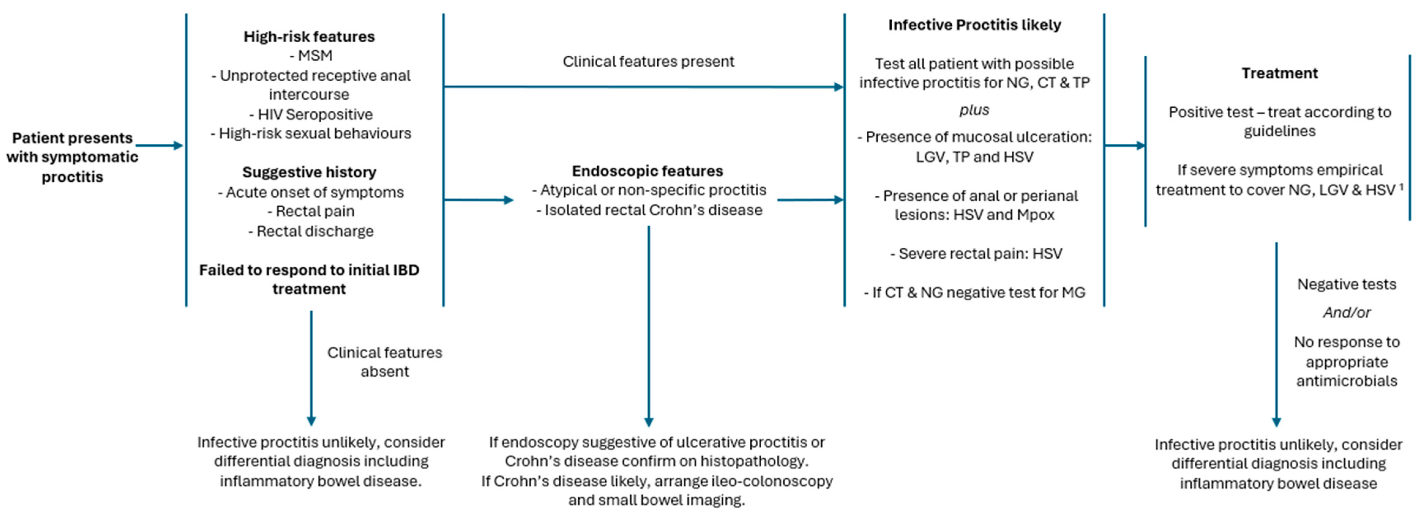 Separating Infectious Proctitis from Inflammatory Bowel Disease—A ...