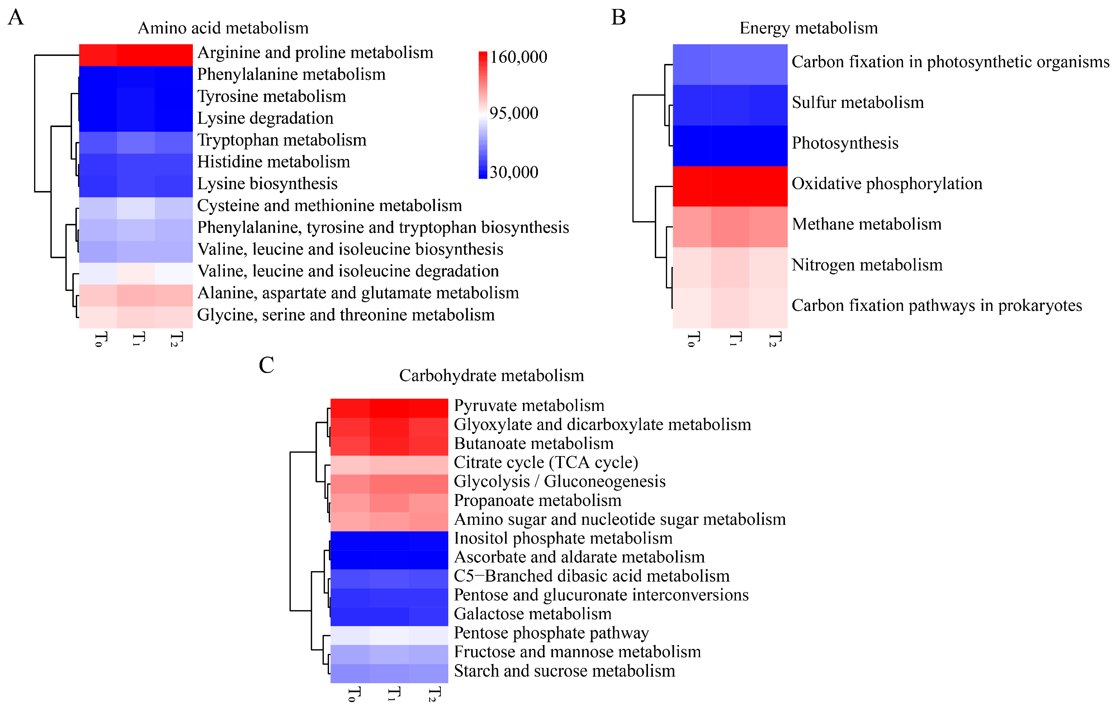 Conservation and Dynamics of Maize Seed Endophytic Bacteria Across ...