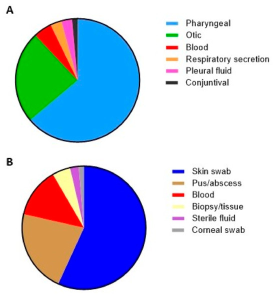 Impact of the SARS-CoV-2 Pandemic on the Epidemiology of Streptococcus ...