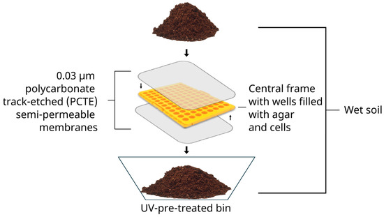 Assessing Normandy Soil Microbial Diversity for Antibacterial ...
