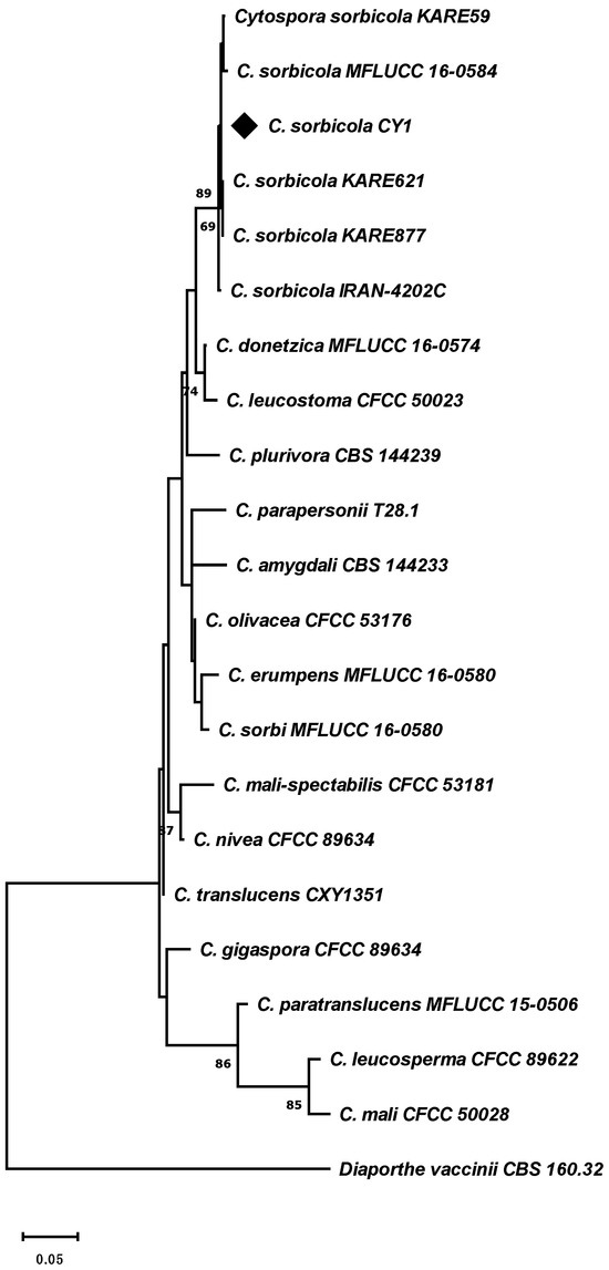 The Sweet Cherry Tree Genotype Restricts the Aggressiveness of the Wood ...