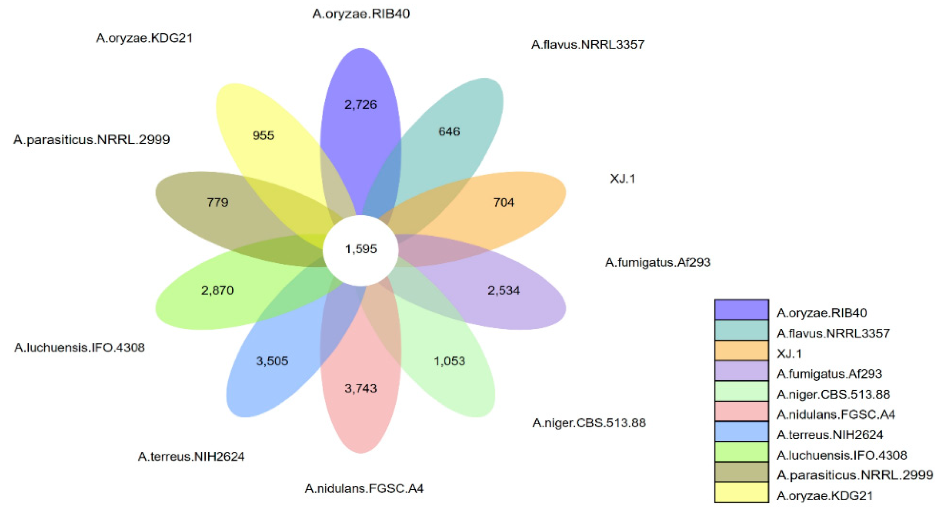 Locust Pathogen Aspergillus oryzae XJ1 Is Different from Aspergillus ...