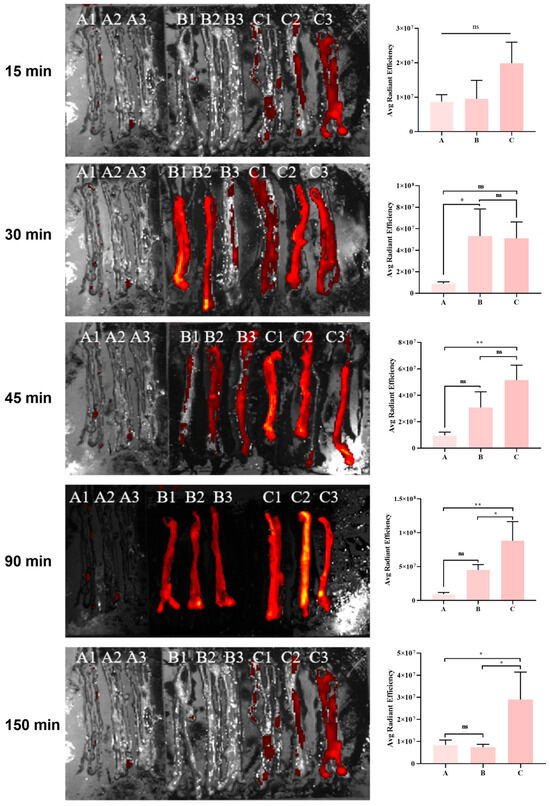 Pharmacodynamic Evaluation of Phage Therapy in Ameliorating ETEC ...