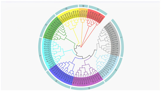 Genome-Wide Identification and Analysis of Glycosyltransferases in ...