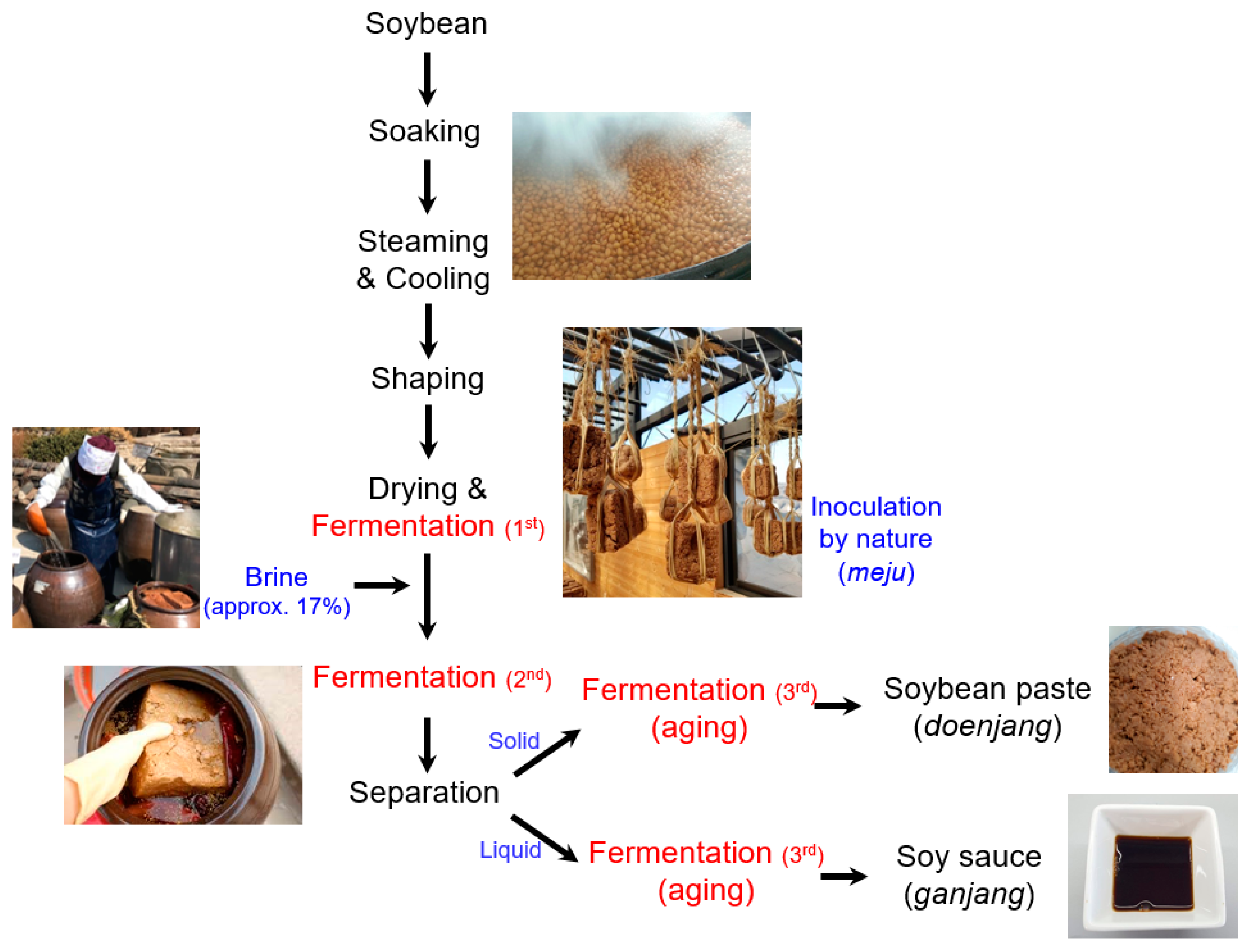 Investigation of Microbial Community of Korean Soy Sauce (Ganjang ...