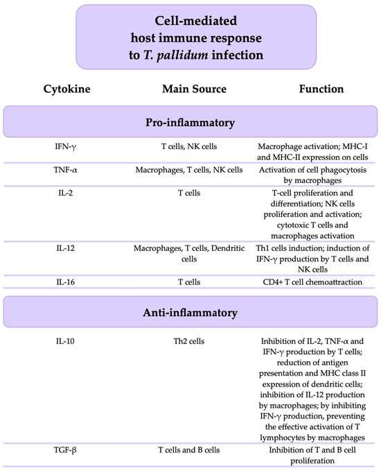 The Significance of the Cell-Mediated Host Immune Response in Syphilis