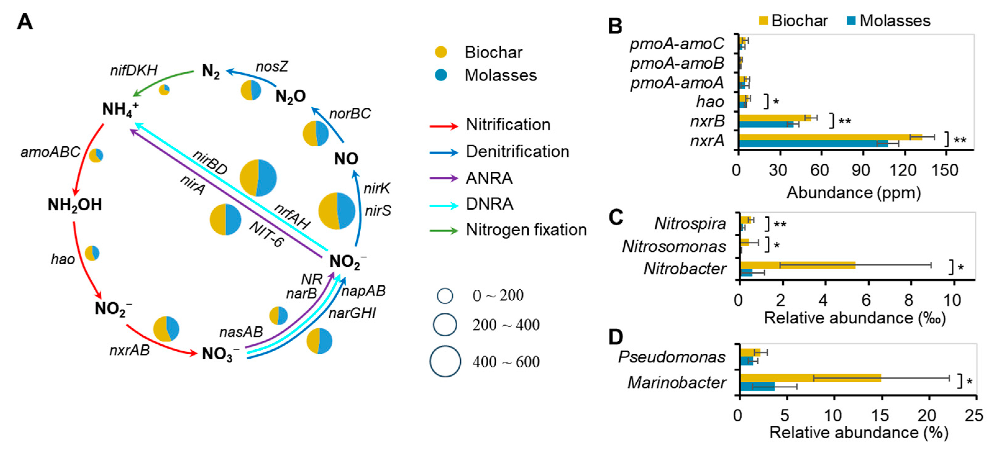 Impact of Biochar Addition on Biofloc Nitrifying Bacteria and Inorganic ...