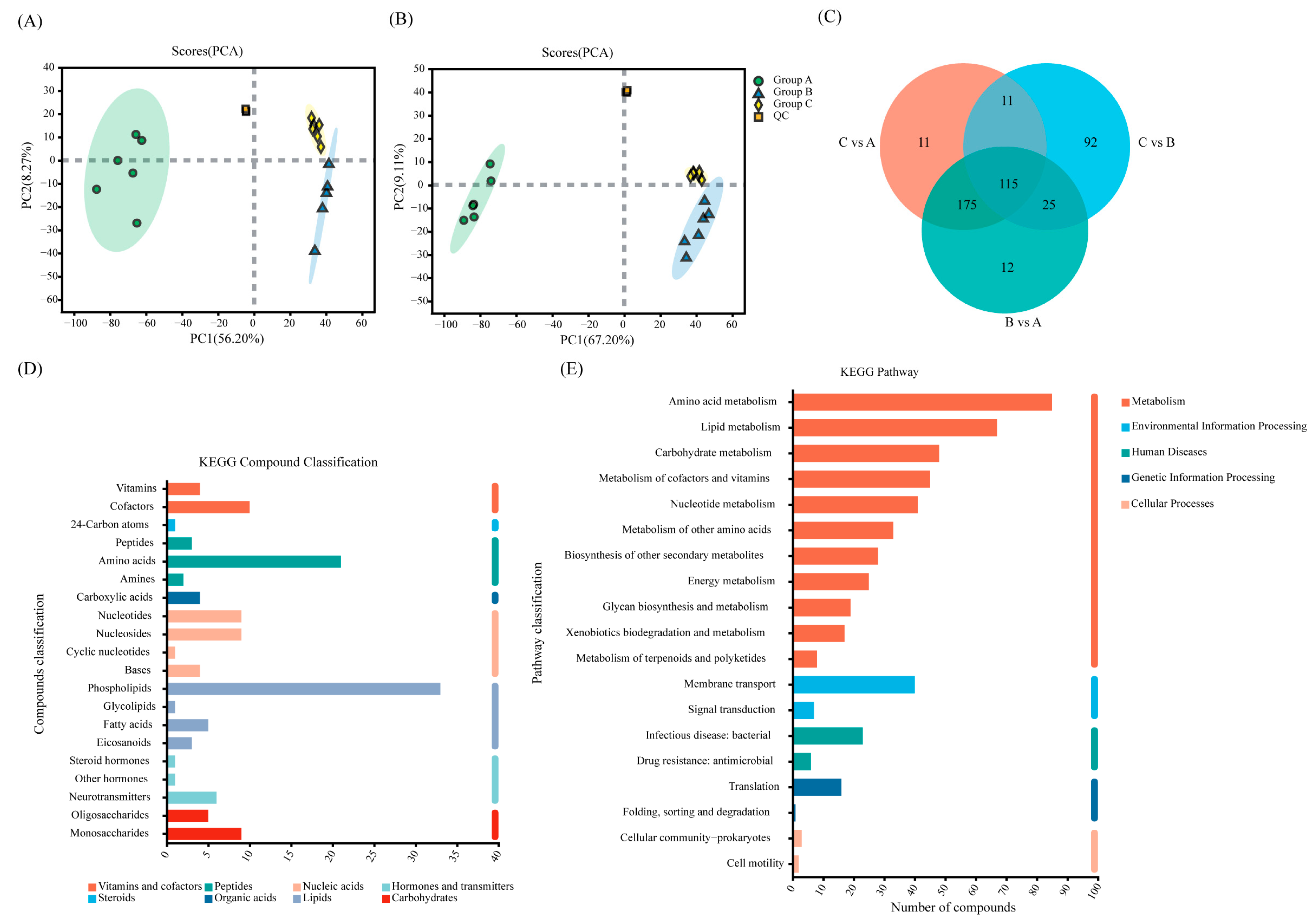 UV-C Exposure Enhanced the Cd2+ Adsorption Capability of the Radiation-Resistant Strain ...