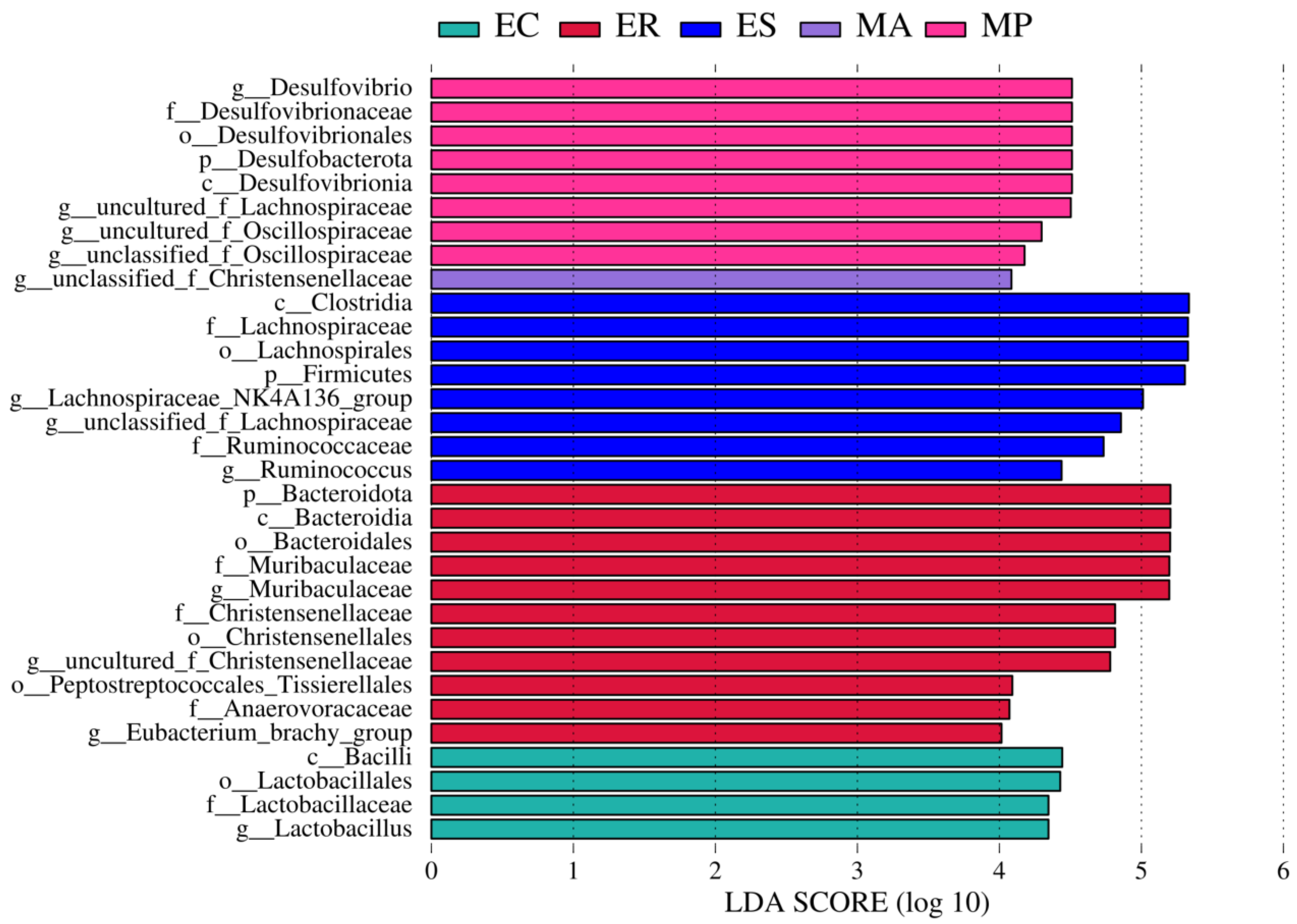 Investigation of Intestinal Microbes of Five Zokor Species Based on 16S ...