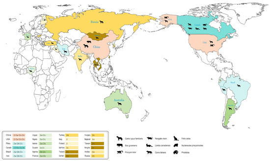 Overview of Recent Advances in Canine Parvovirus Research: Current ...
