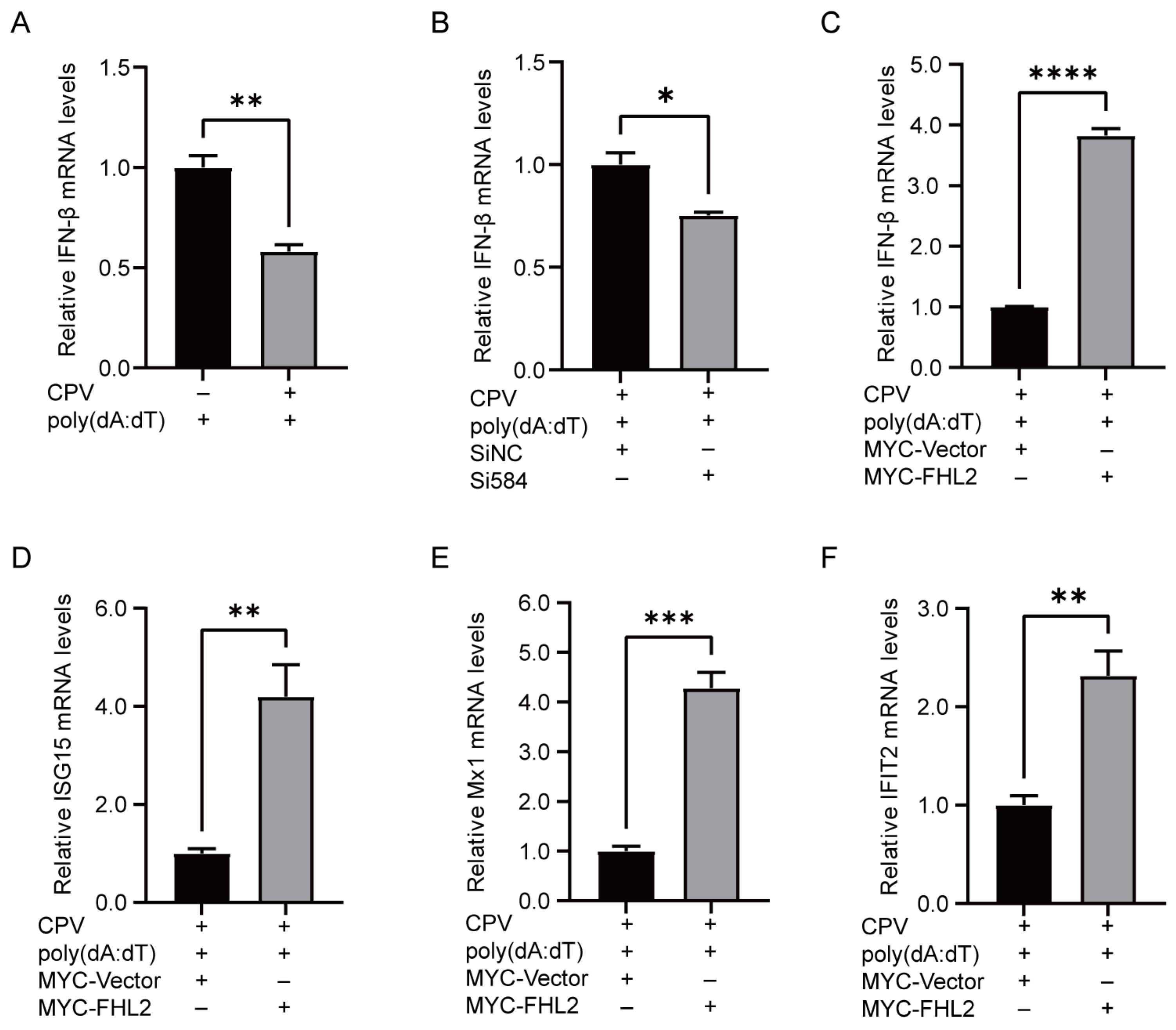 Identification of Host–Protein Interaction Network of Canine Parvovirus ...