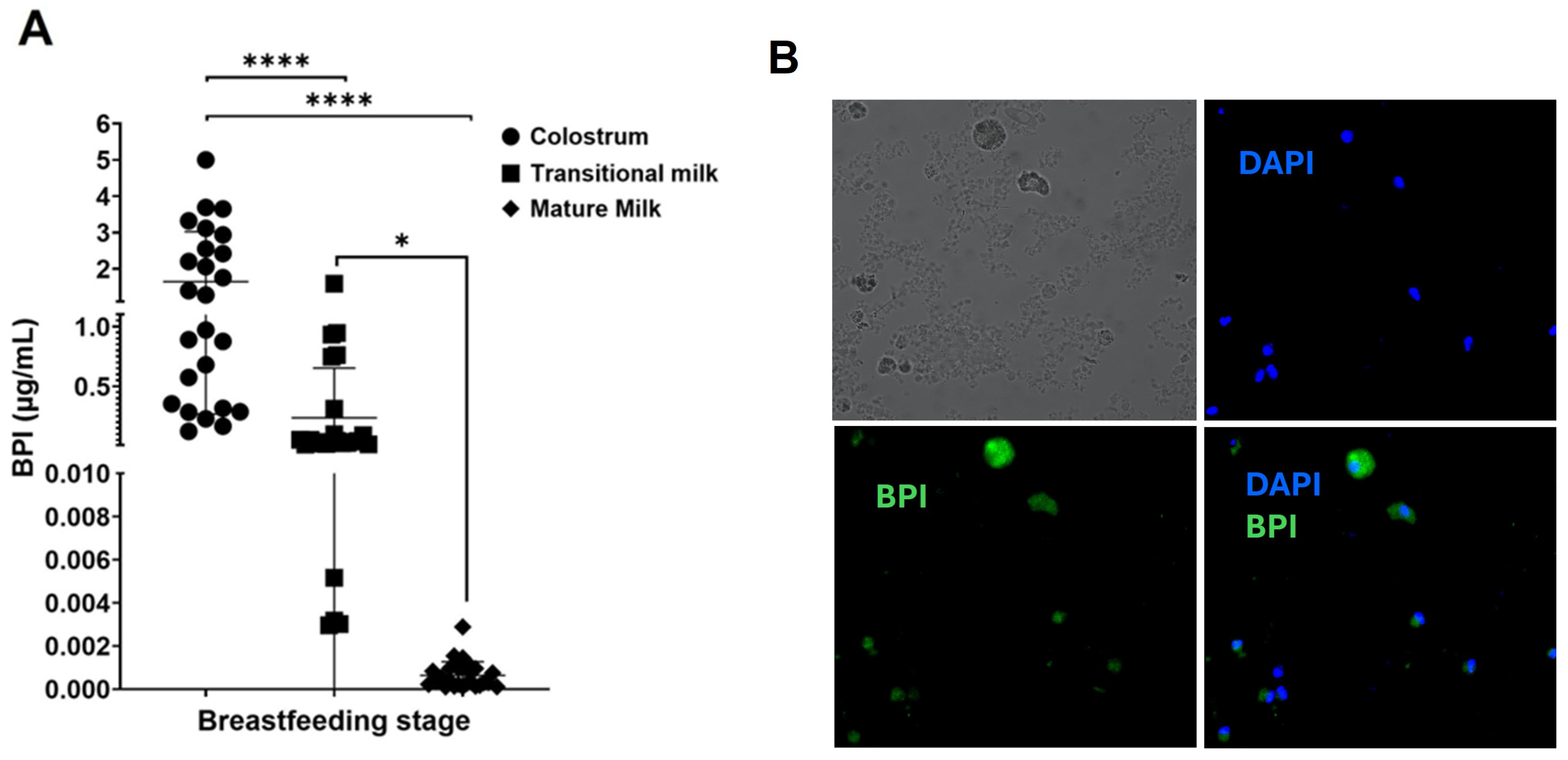Bactericidal/Permeability-Increasing Protein (BPI), a Novel Antimicrobial Molecule in Human ...