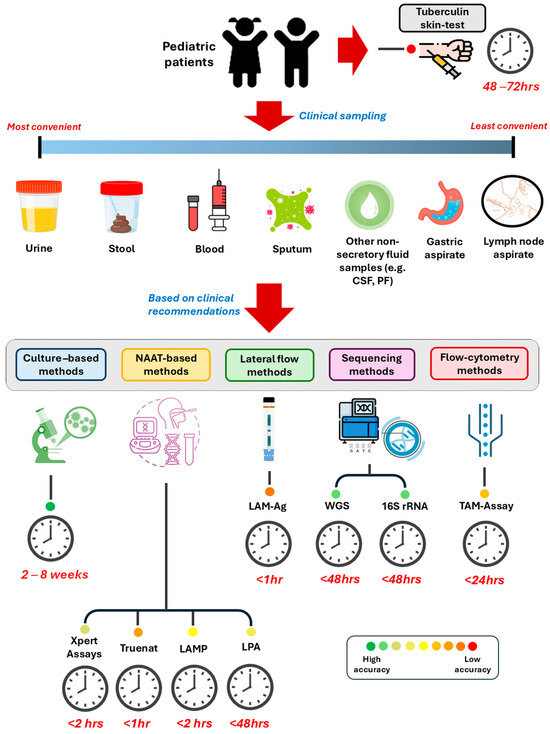 A Comprehensive Review of the Diagnostics for Pediatric Tuberculosis ...