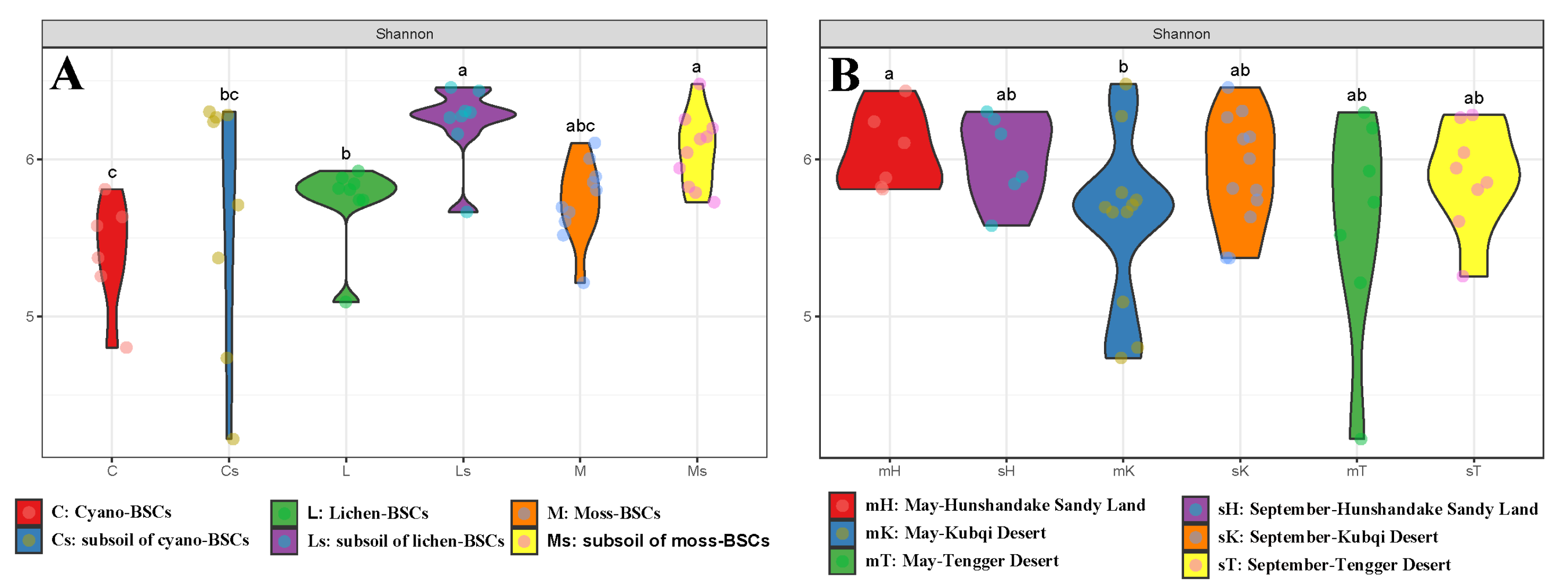 Spatiotemporal Dynamics of Bacterial Community Assembly and Co-Occurrence Patterns in Biological ...