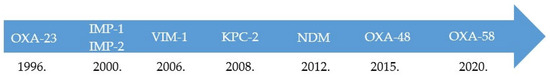 Evolution of β-Lactam Antibiotic Resistance in Proteus Species: From ...