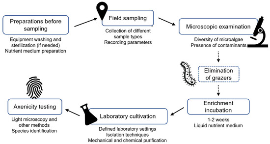 A Pipeline for the Isolation and Cultivation of Microalgae and Cyanobacteria from Hypersaline ...