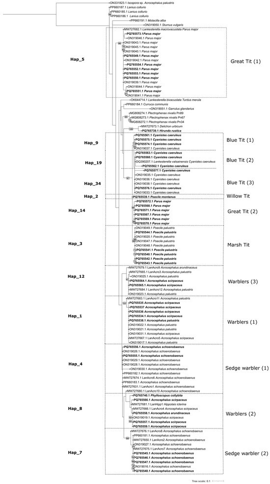 Lankesterella and Isospora Coccidians: Differences in Host Specificity ...