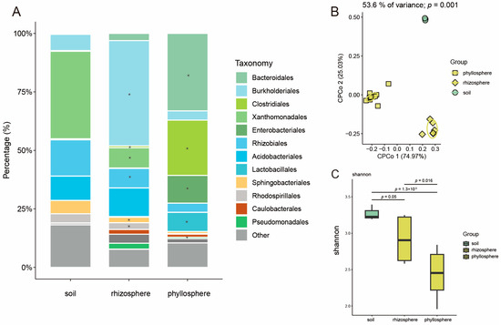 Microbiome Migration from Soil to Leaves in Maize and Rice