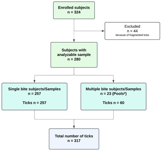 Surveillance of Tick-Borne Pathogens in Ticks from Humans in the ...