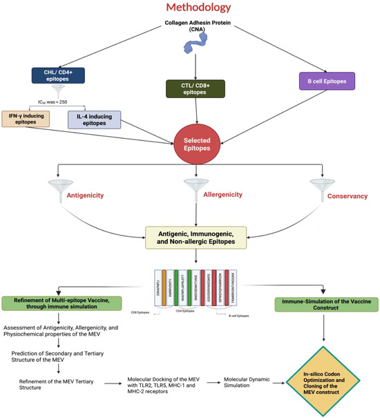 In Silico Design, Optimization, and Evaluation of a Multi-Epitope Vaccine Targeting the ...