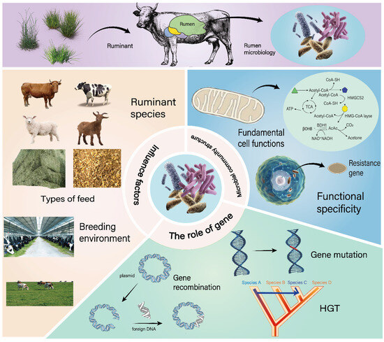 Pan-Genomic Insights into Rumen Microbiome-Mediated Short-Chain Fatty ...