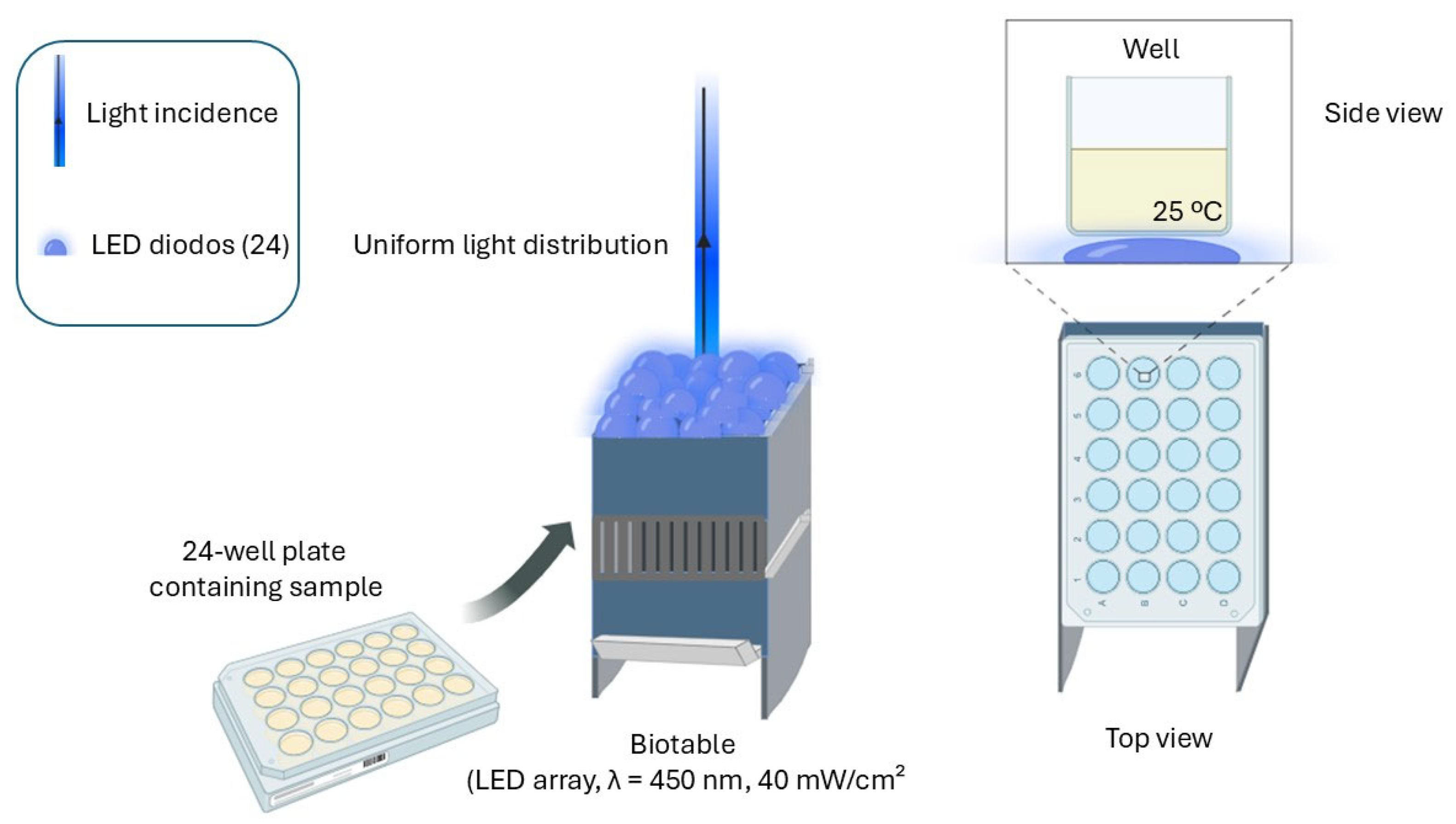 Control of Methicillin-Resistant Staphylococcus aureus Using Photodynamic Therapy in Synergy ...