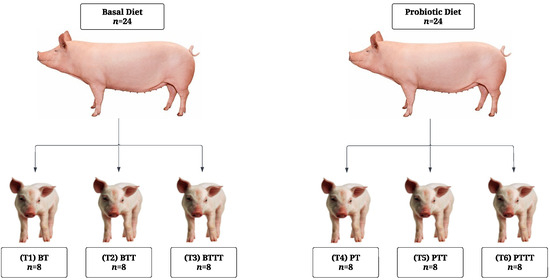 Effect of Maternal Probiotic and Piglet Dietary Tryptophan Level on ...