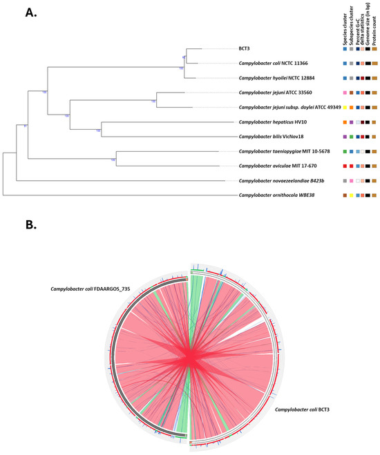 Genome Analysis of the Multidrug-Resistant Campylobacter coli BCT3 of ...