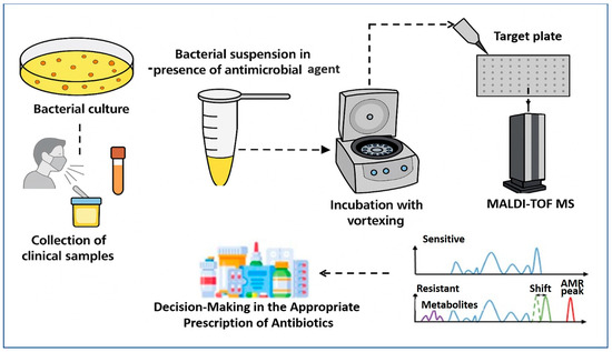 Spectral Precision: Recent Advances in Matrix-Assisted Laser Desorption ...