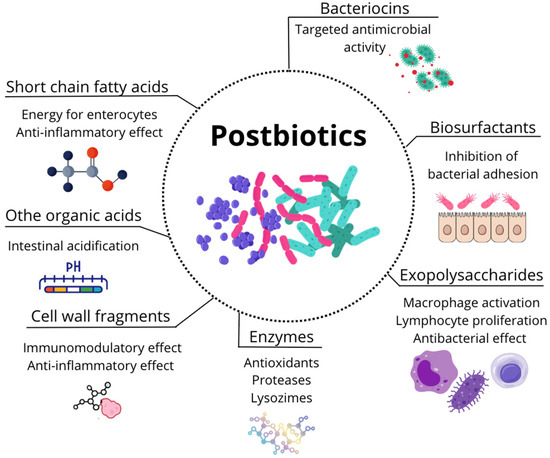 Effects of Postbiotic Administration on Canine Health: A Systematic ...