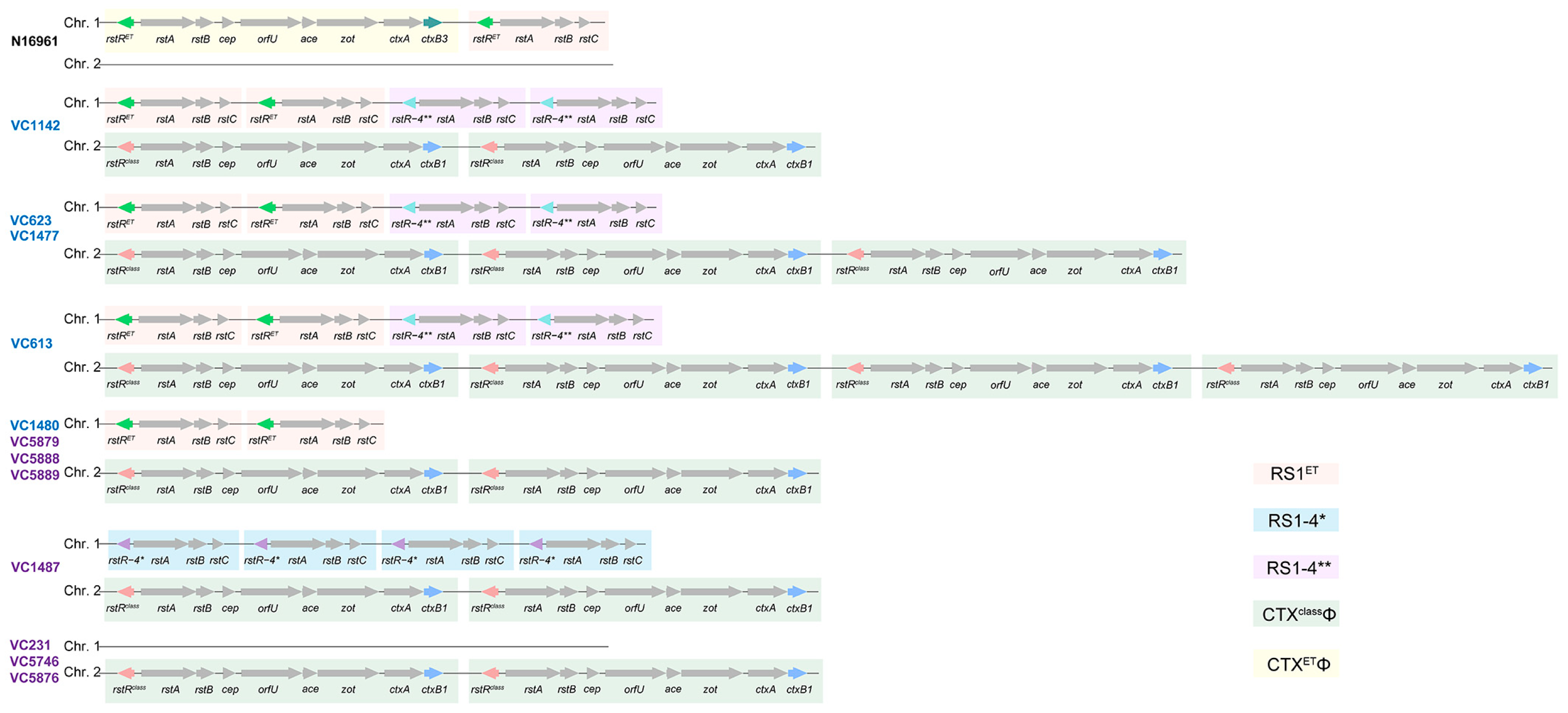 Revisiting the Genomic Epidemiology of Distinct Phage-Type Vibrio ...