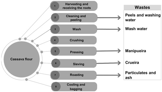 Biotechnology in Agro-Industry: Valorization of Agricultural Wastes, By ...