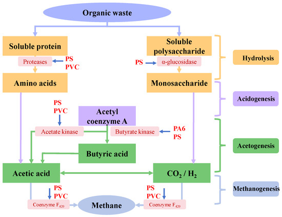 Effects of Micro(nano)plastics on Anaerobic Digestion and Their ...