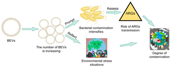 Bacterial Extracellular Vesicles: An Emerging Concern in the Field of ...