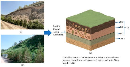 Soil-like Substrate Technology Improves Soil Nutrient Content and ...