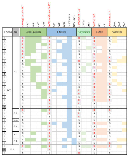 Clinical and Genetic Characteristics of Enterobacter cloacae and ...