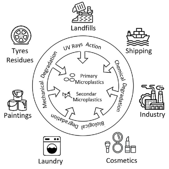 Microplastics | Free Full-Text | The Complex Dynamics of Microplastic ...