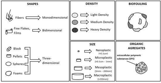 Microplastics | Free Full-Text | The Complex Dynamics of Microplastic Migration through ...