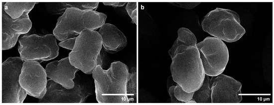Impact of Degradation of Polyethylene Particles on Their Cytotoxicity