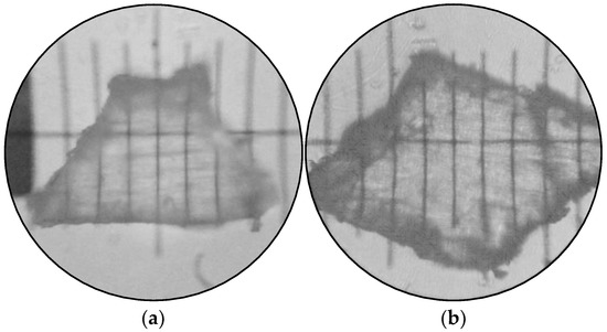 Detection of Secondary Microplastics in an Aquatic Mesocosm by Means of ...