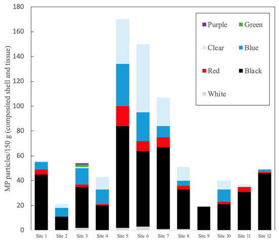 Microplastics | Free Full-Text | Microplastics in Atlantic Ribbed ...