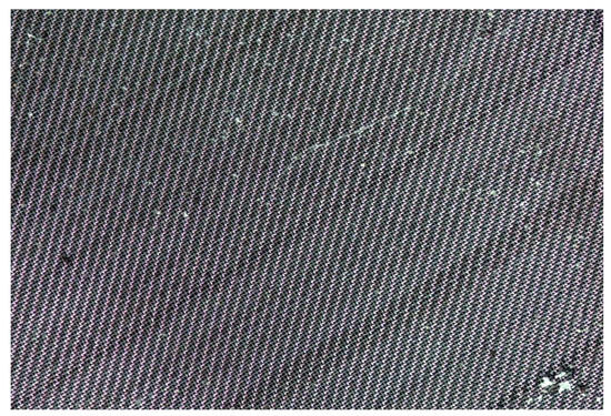 Microscopic Image Dataset with Segmentation and Detection Labels for ...