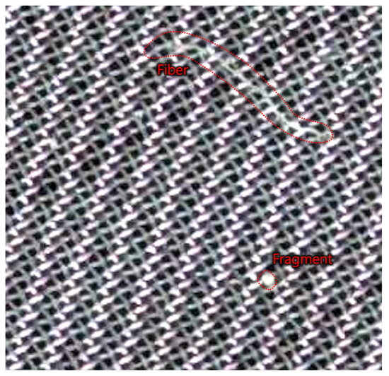 Microscopic Image Dataset with Segmentation and Detection Labels for ...