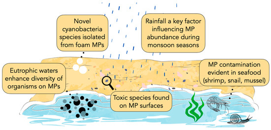 Progress in Research on Microplastic Prevalence in Tropical Coastal ...