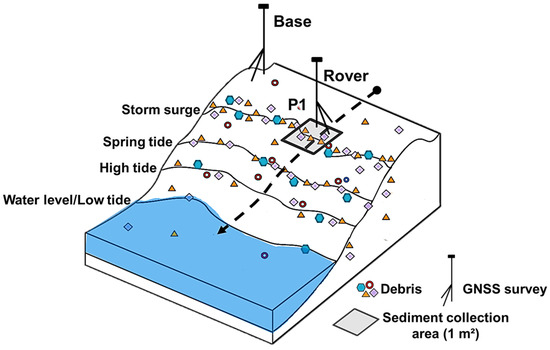 Microplastic Deposits Prediction on Urban Sandy Beaches: Integrating ...
