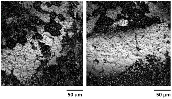 Evaluating the Environmental Factors on Microplastic Generation: An ...